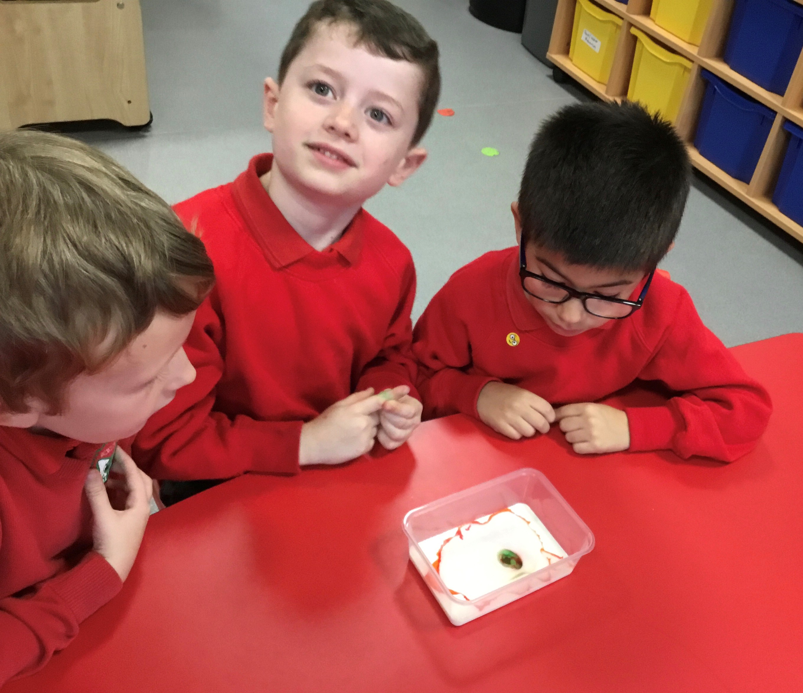 Young Scientists Shine As Governor’s Meadow Lower Primary School ...