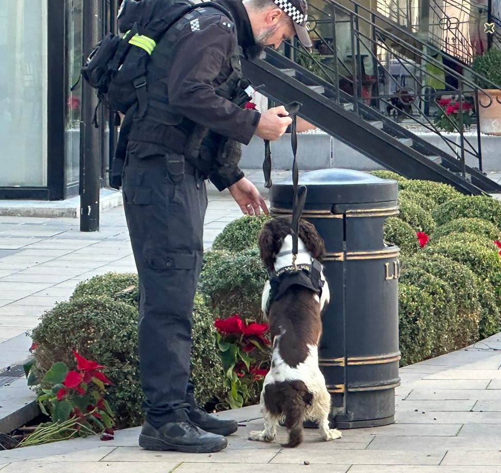 Meet PD Thor - GDP's New Four Legged Officer - Your Gibraltar TV (YGTV)