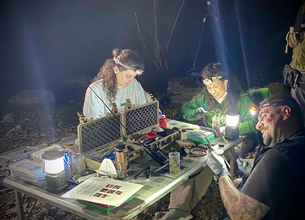 Television Documentary On Straits Of The World To Feature Gibraltar And ...