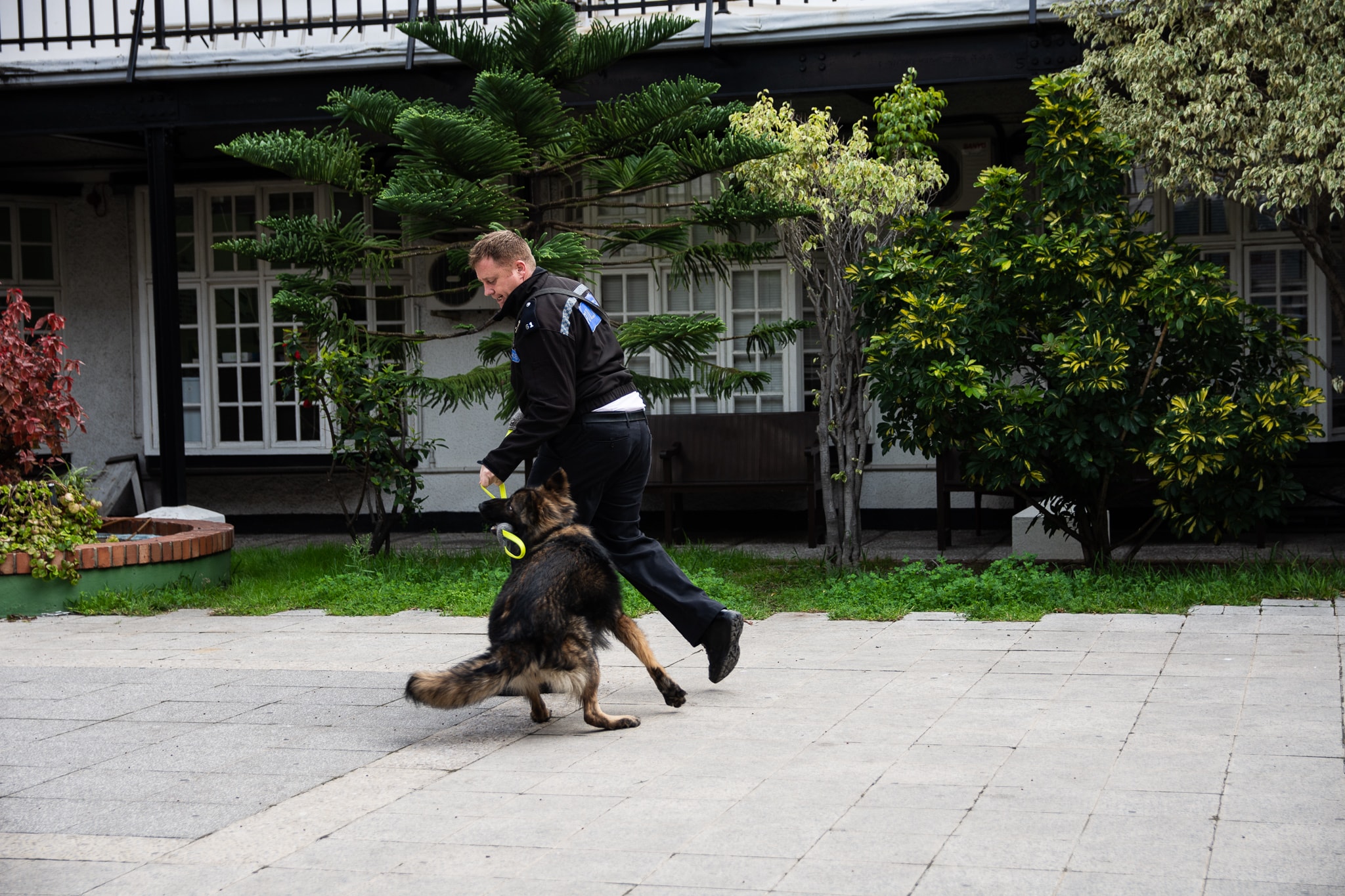 Jan 18 - RGP Welcome Three New Police Dogs - Your Gibraltar TV (YGTV)