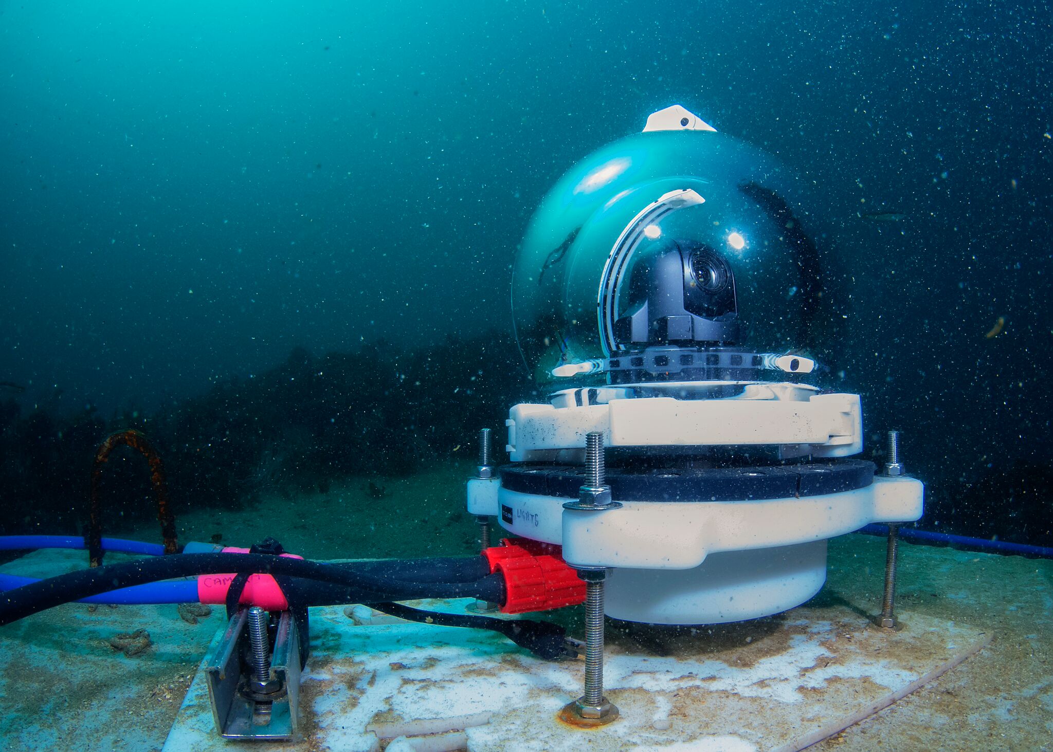 May 14 - Department Of The Environment Expands Marine Monitoring - Your ...