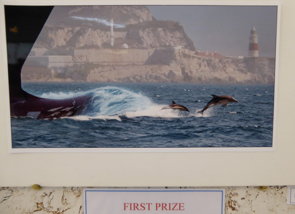 Aug 25 - Mabelle Imossi Wins “Our Gibraltar” Photographic Competition ...