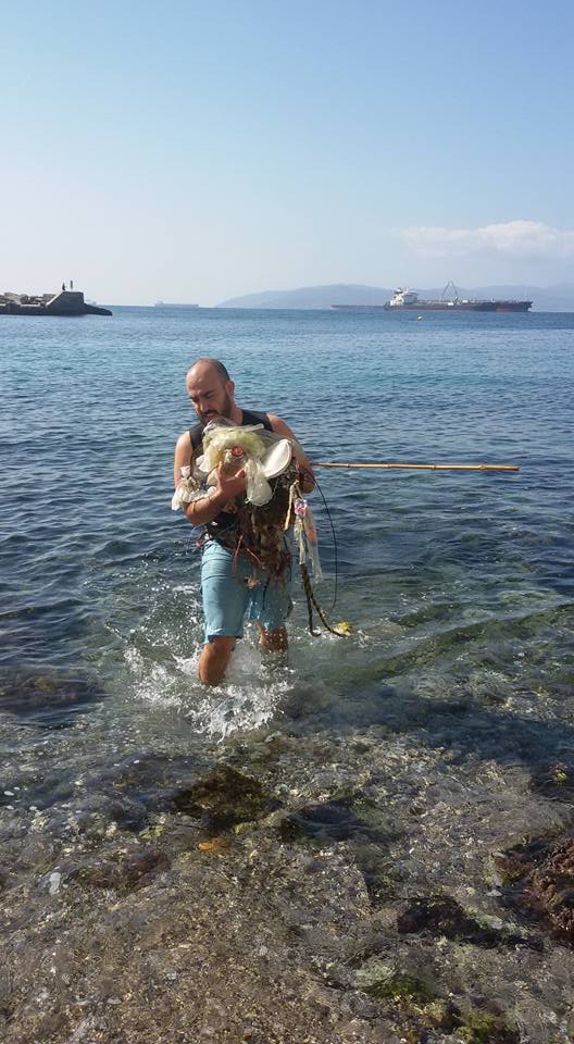 Jul 06 - Over 1,500 Pupils Engage With Nautilus Project - Your ...