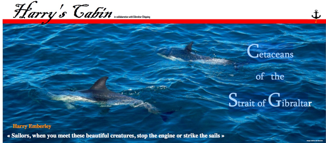 Aug 15 - Cetaceans Of The Strait Of Gibraltar - Your Gibraltar TV (YGTV)