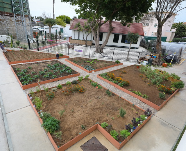 New Four Corners Community Allotment - Your Gibraltar TV (YGTV)