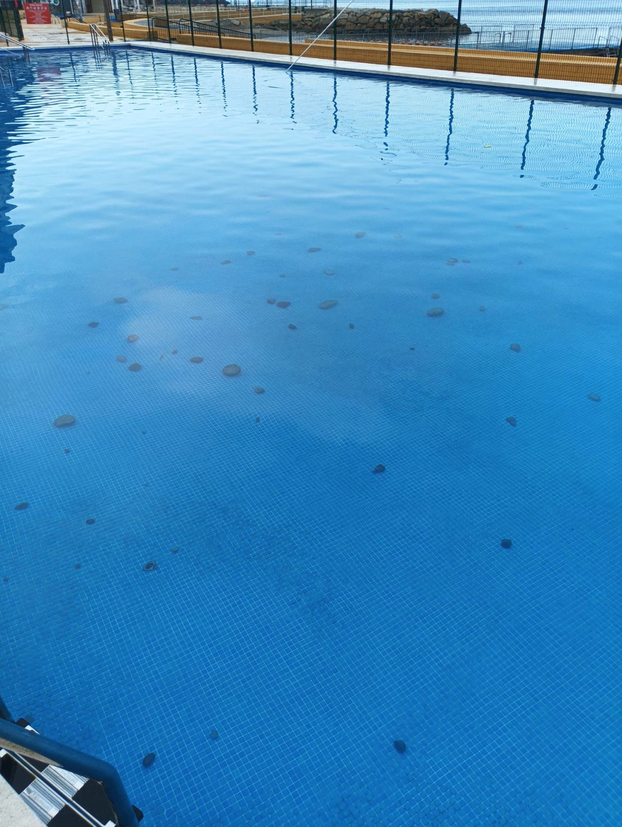 Temporary Closure of Small Pools at Camp Bay and Little Bay Due to ...